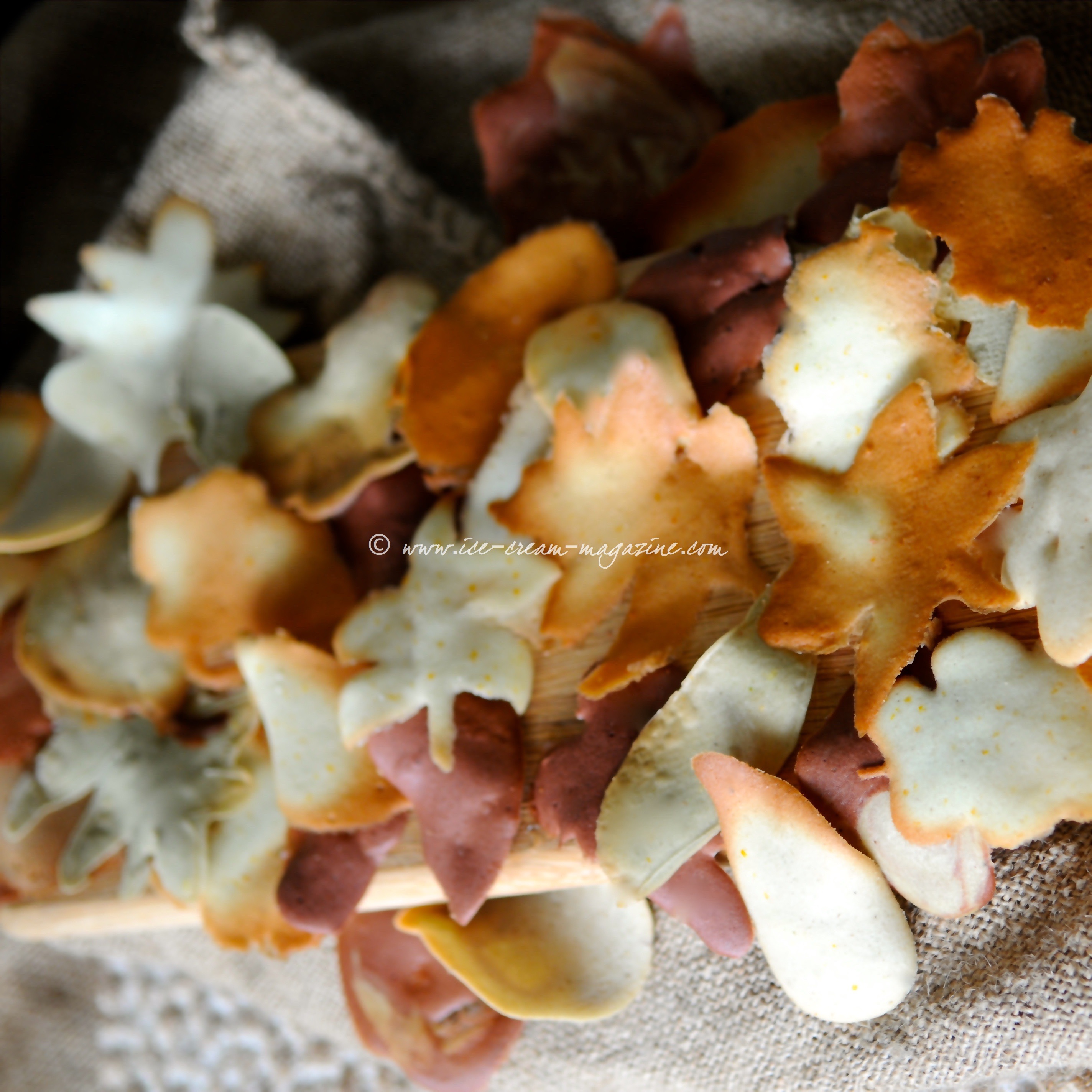 Autumn Leaf Tuile | ice cream magazines