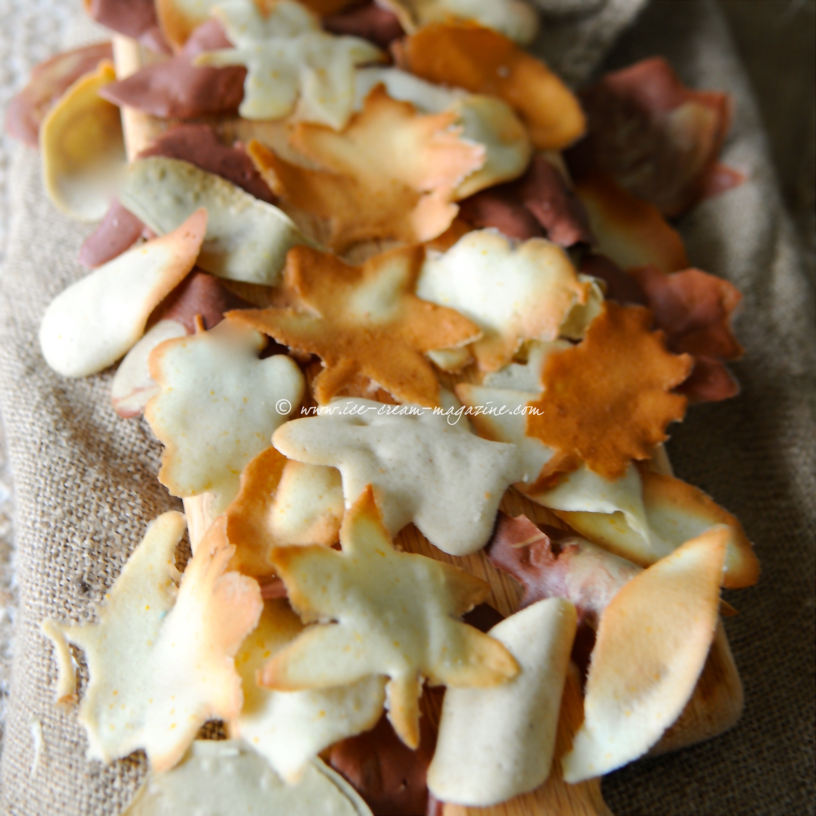 Autumn Leaf Tuile | ice cream magazines
