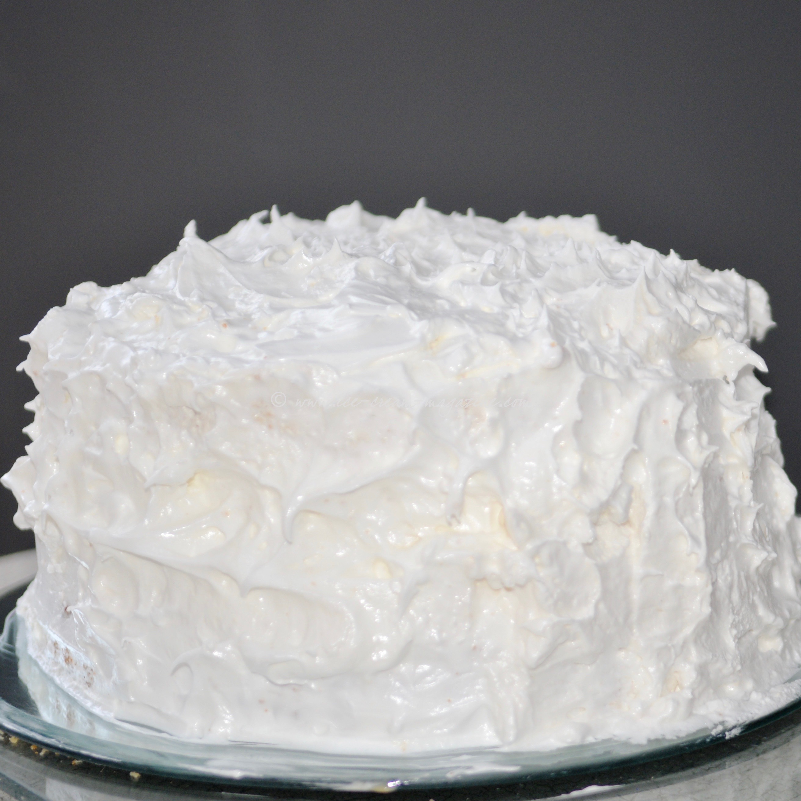 winter wonderland ice cream gateaux | ice cream magazines