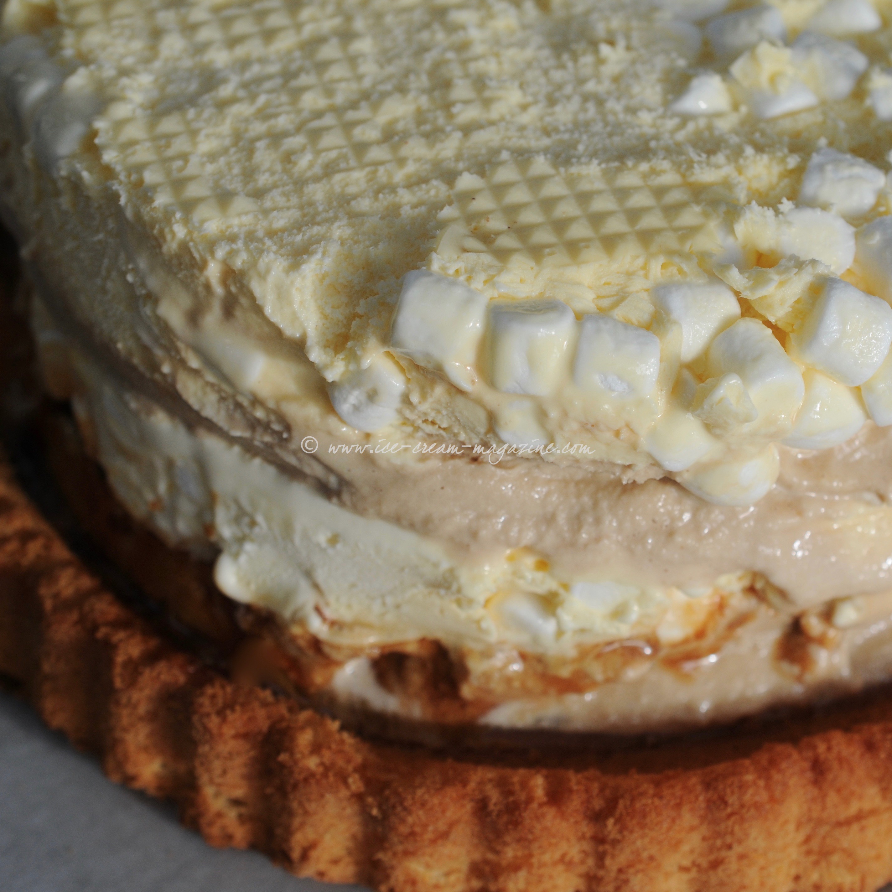 winter wonderland ice cream gateaux | ice cream magazines