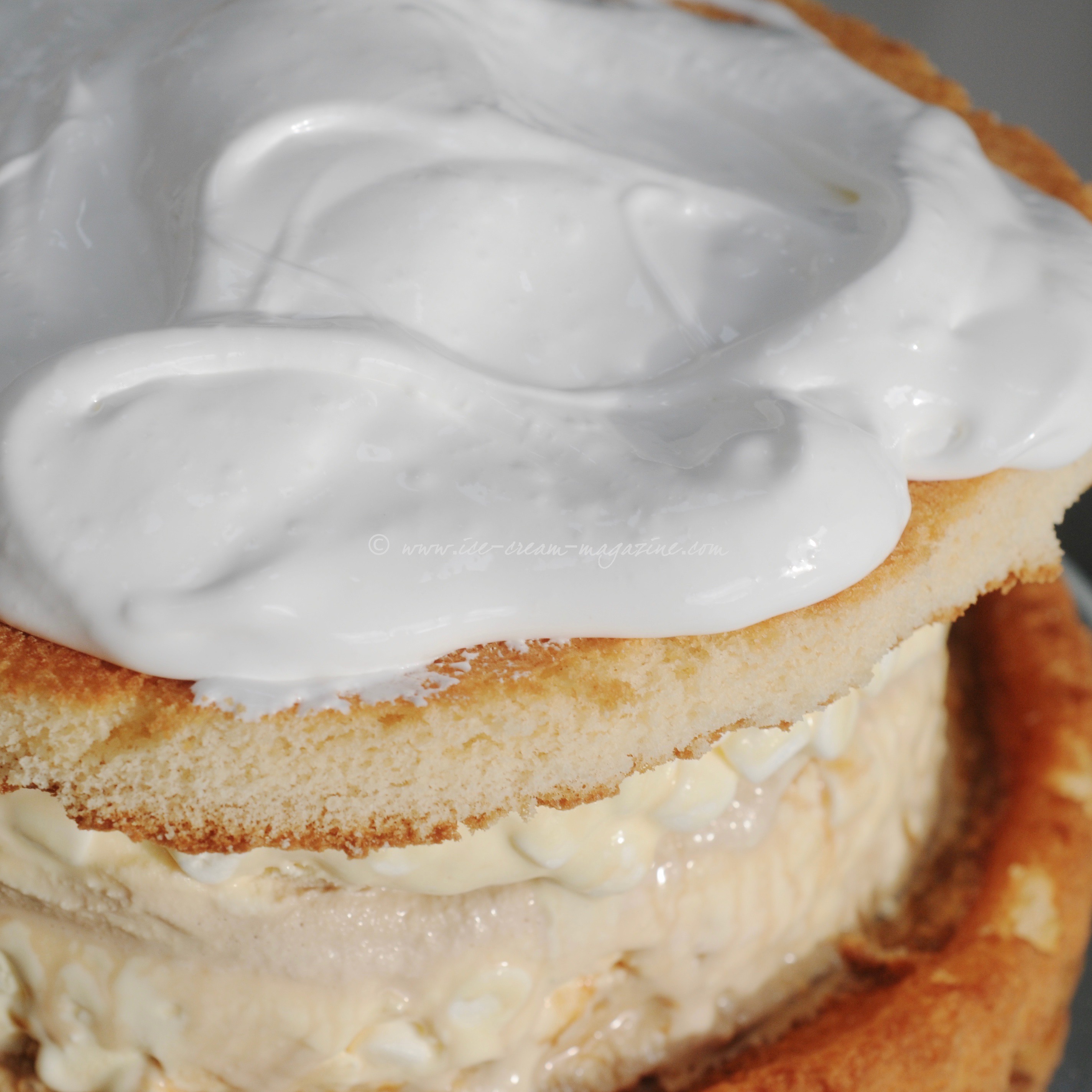 winter wonderland ice cream gateaux | ice cream magazines