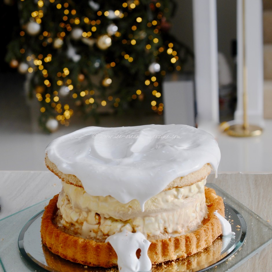 winter wonderland ice cream gateaux | ice cream magazines