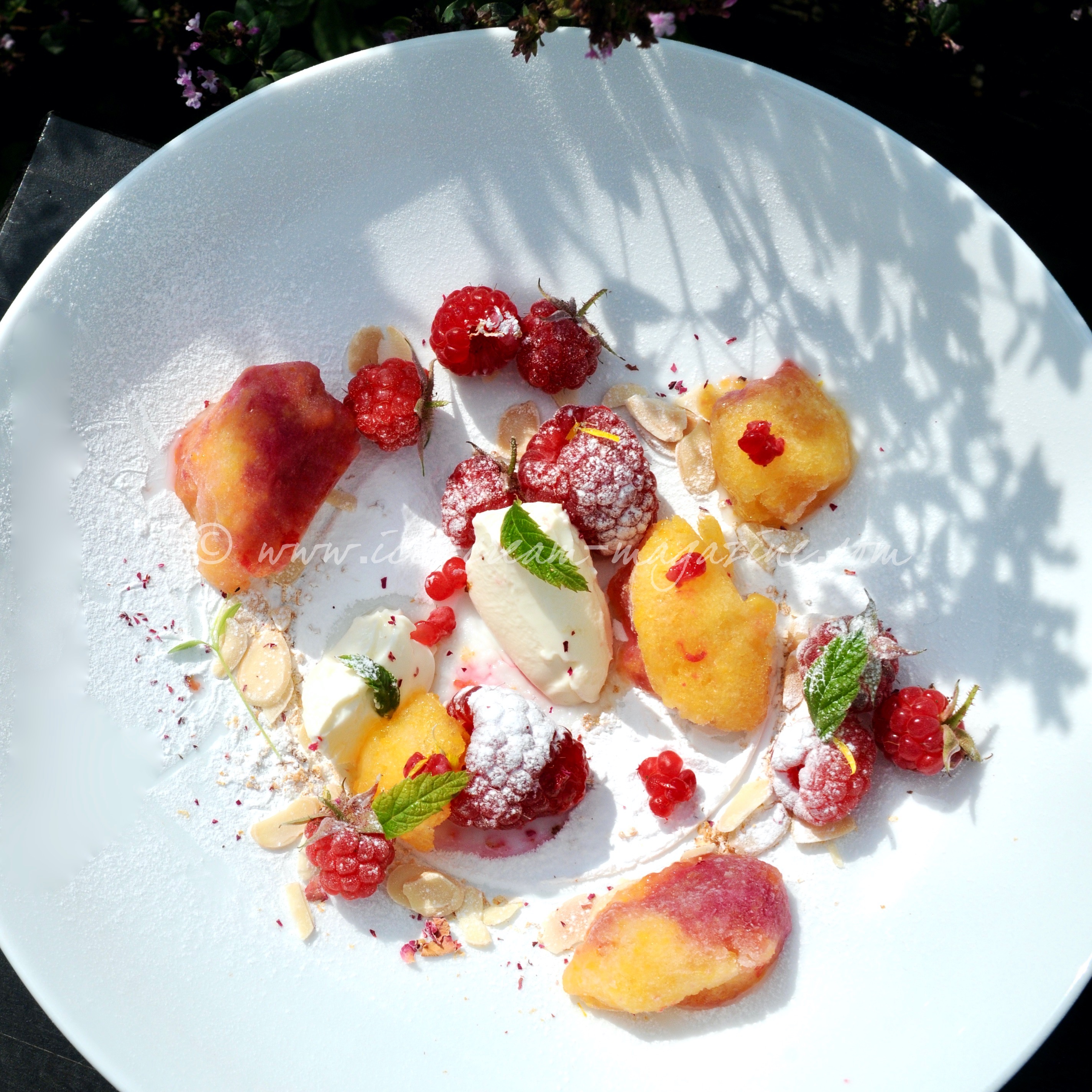 ice cream magazines | ………………. for lovers of ice cream. Your free on ...