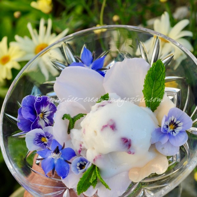 ice cream magazines | ………………. for lovers of ice cream. Your free on ...